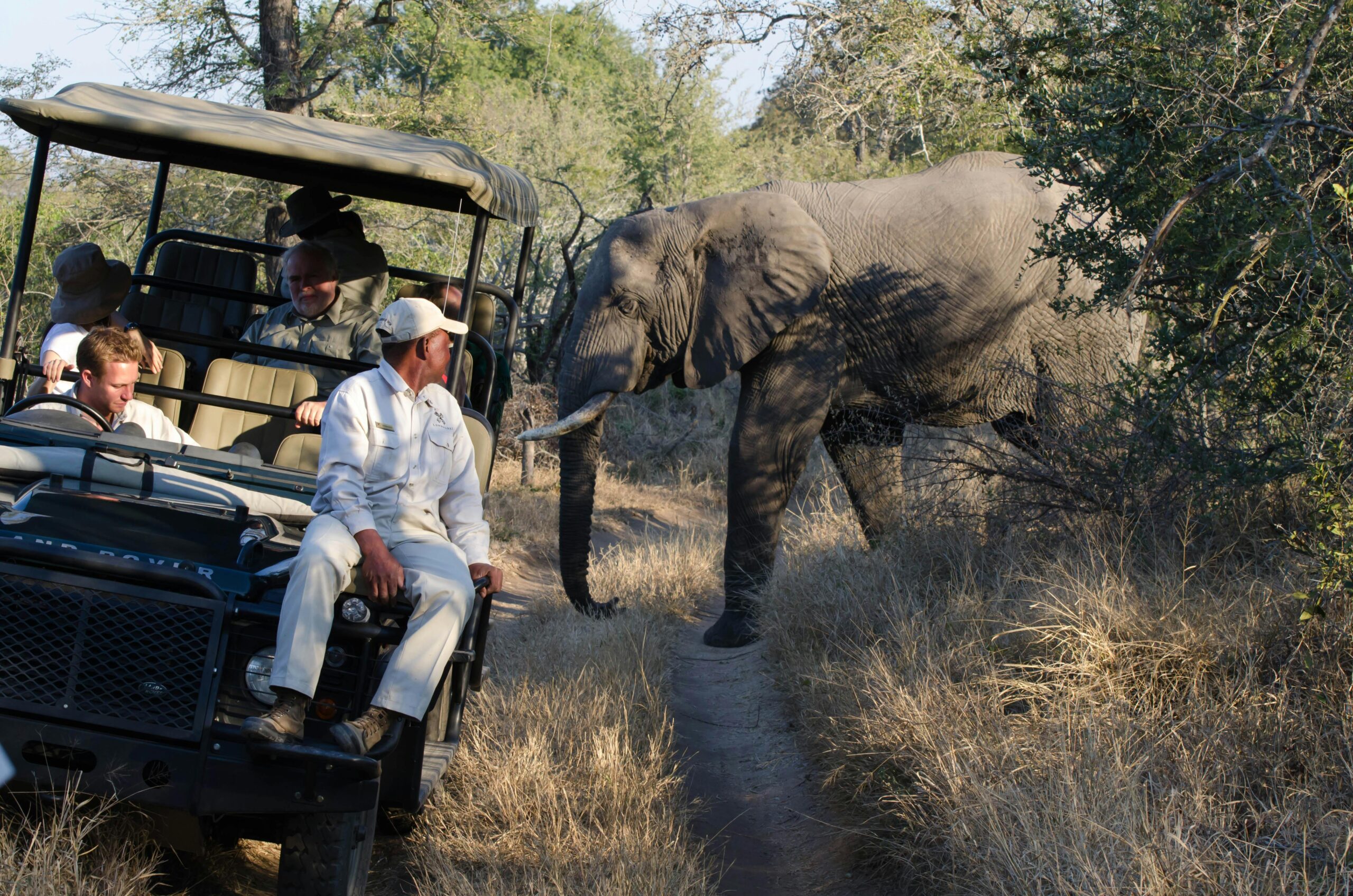 South Africa Wildlife Safari Adventure (Big Five, Safaris & Nature)